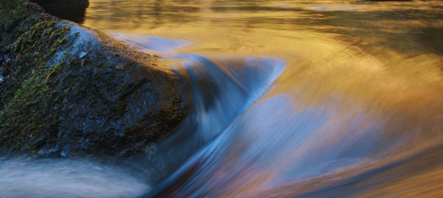 The Wild Nature of Embodiment & Trance and Transference | Embodied ...